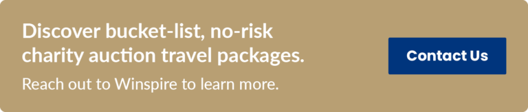 50+ Best Live Auction Items & Tips to Procure Them | Winspire