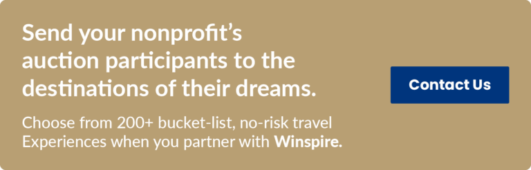 65+ Best Live Auction Items for a Successful Fundraiser | Winspire
