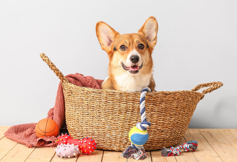60+ Exciting Raffle Basket Ideas for Fundraisers in 2026 | Winspire